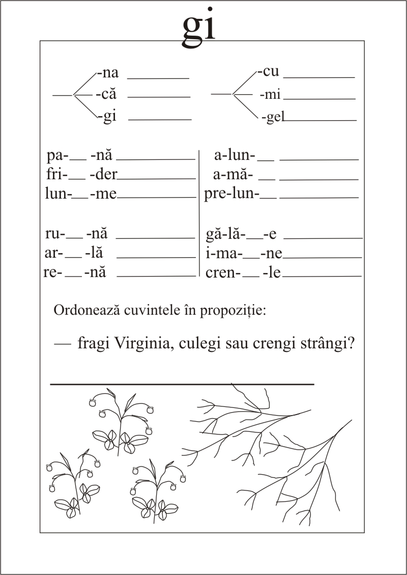 Grupurile de litere ‘gi’ și ‘ghi’ – GRUPURILE DE LITERE